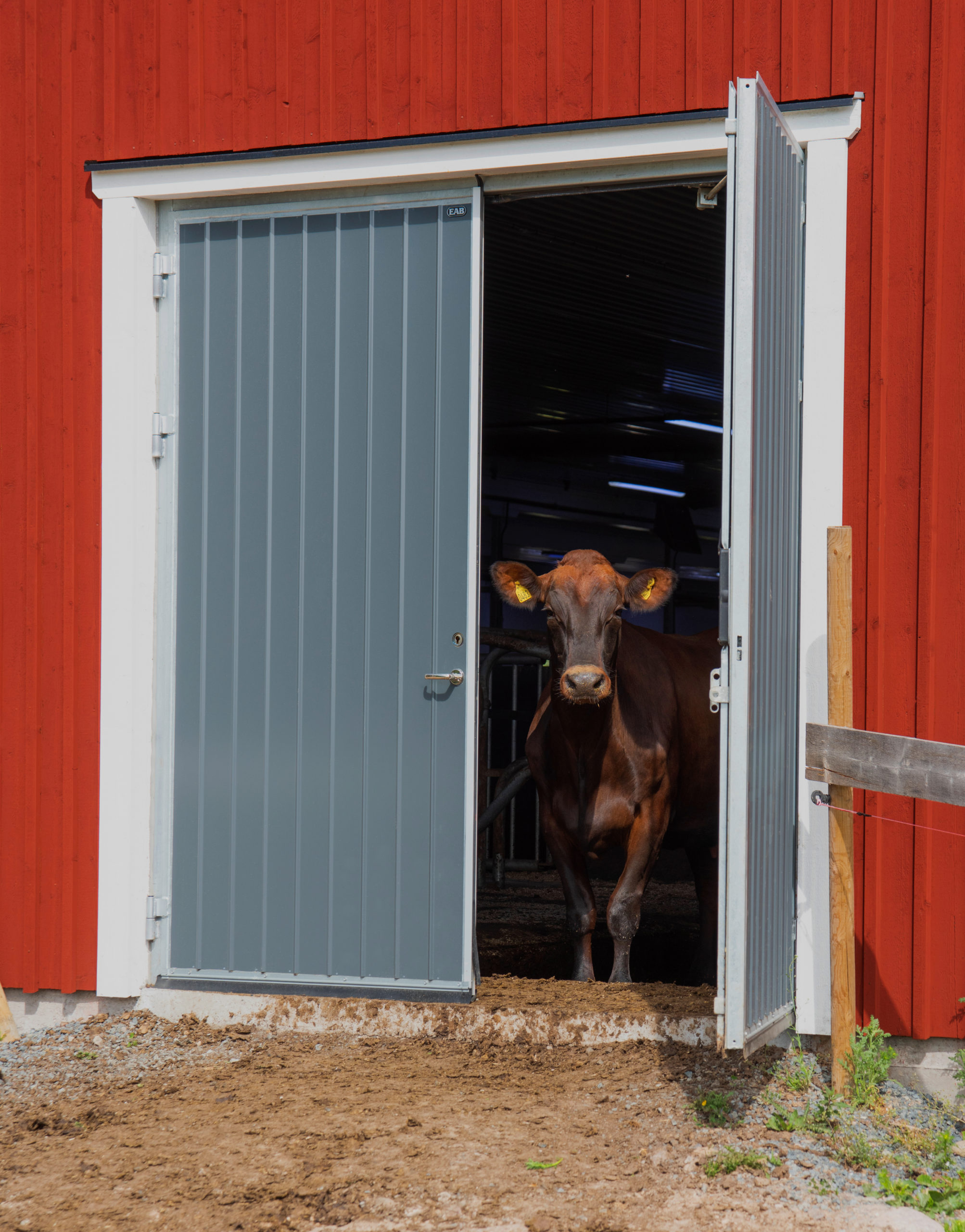 Slagportar, ståldörrar & gångportar för industri | EAB